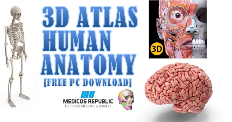 3D Human Anatomy For PC Free Download 2023 [Mac & Windows]